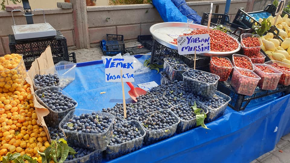 Didim’s Local Markets Are where You Can Haggle For a Great Bargain ...